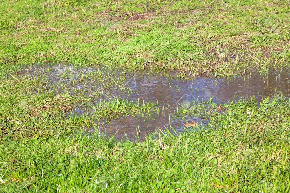 How to Install a French Drain: 6 Steps to Achieving Proper Drainage