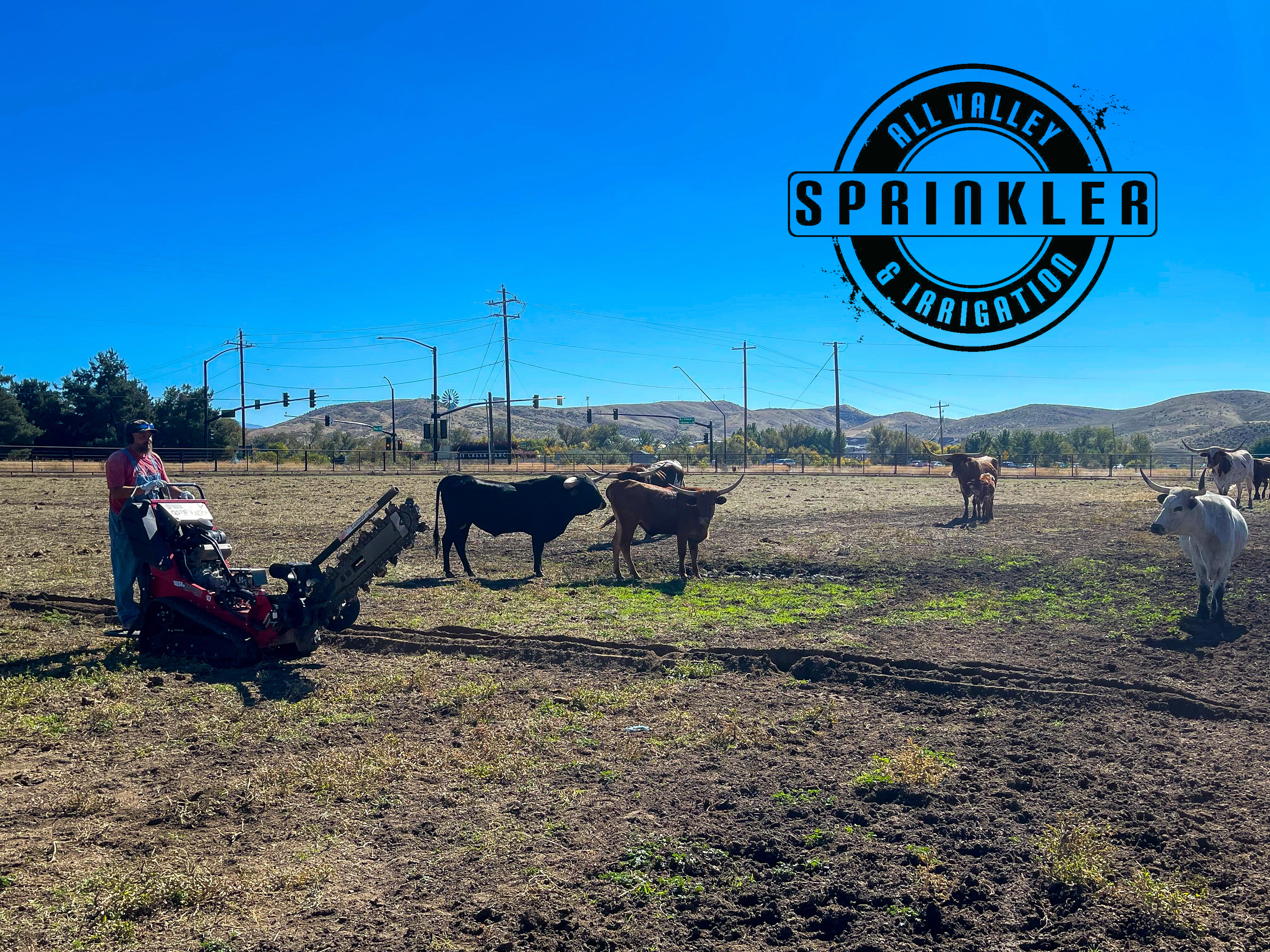 Local Highlight: All Valley Sprinkler and Irrigation